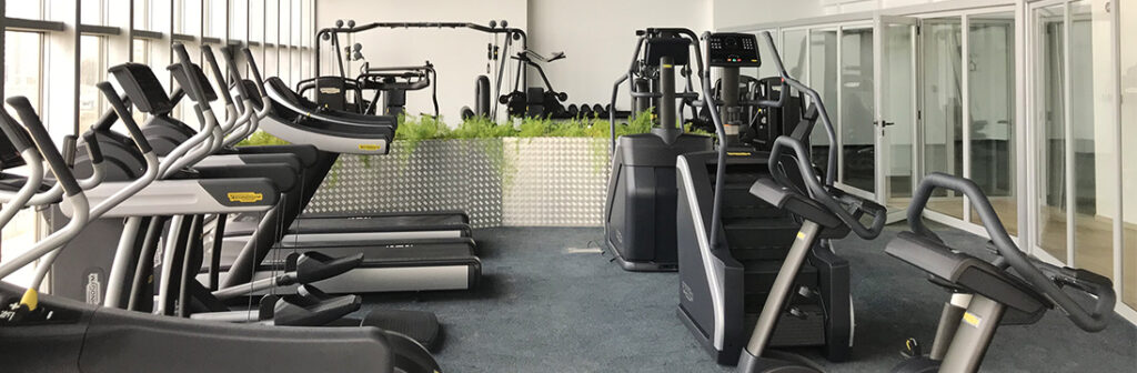 CALIFORNIA GYM ALGER - California-gym