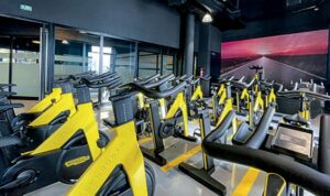 ZEPHYR - California-gym